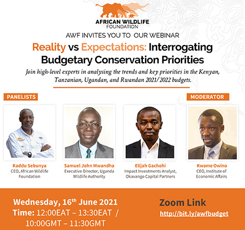 AWF Leads Discussion on Funding Conservation | African Wildlife Foundation
