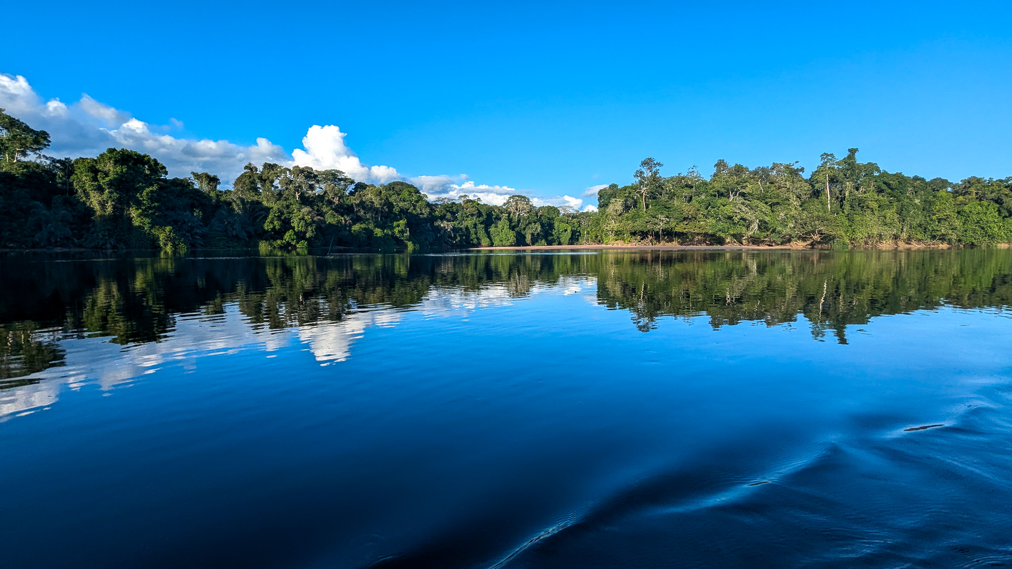 Cameroon’s Living Landscapes – Where Communities and Nature Shape the ...