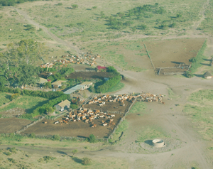 Counting All Animals: AWF-Supported Ranch Rich in Wildlife | African ...