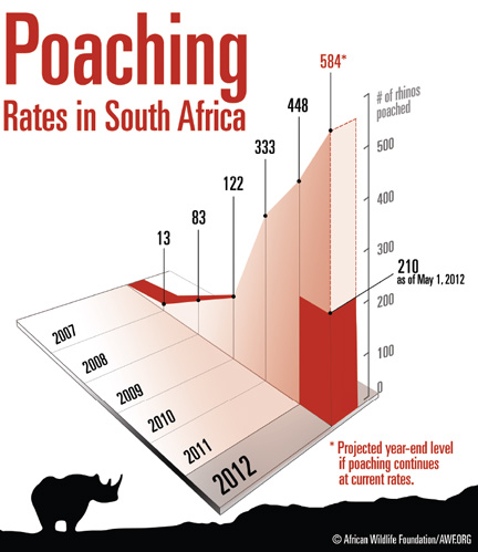 Continued Poaching in South Africa Increases Concern Over Future of the ...