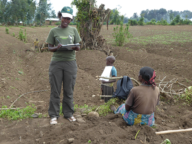 Adventures in wildlife research | African Wildlife Foundation