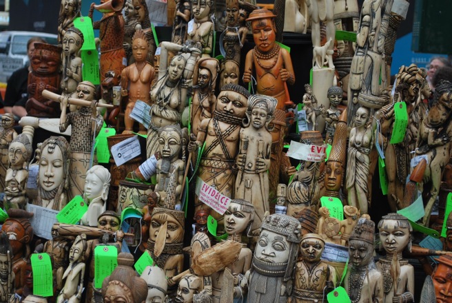 House Foreign Affairs Committee Passes Global Anti-Poaching Act ...