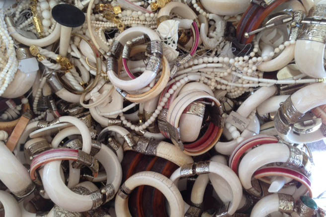 China Bans Ivory Imports For One Year | African Wildlife Foundation