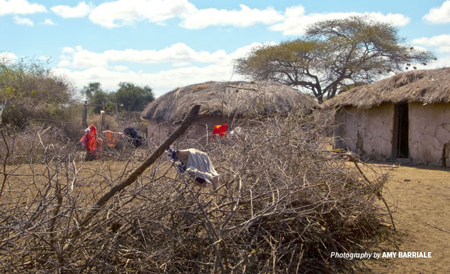 Balancing wildlife conservation and livelihoods on Kenya’s group ...