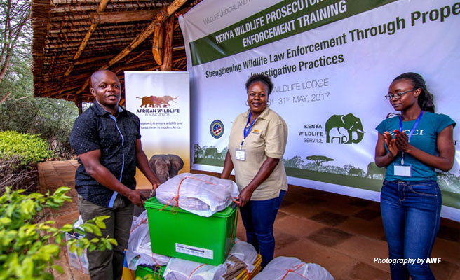 Conviction rate for wildlife crimes in Kenya goes up | African Wildlife ...