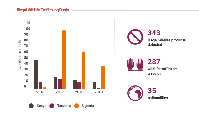 Detection dogs help Uganda double down on illegal traffickers | African ...