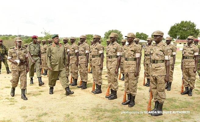 News | African Wildlife Foundation