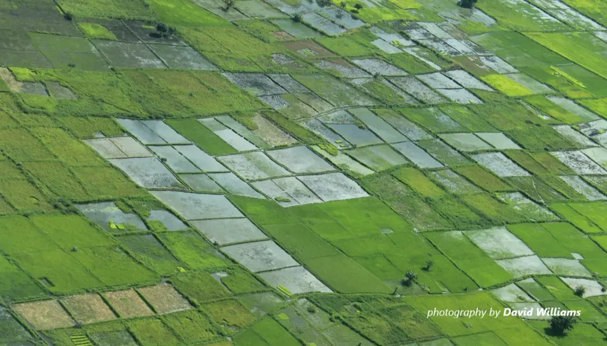 Mapping the natural world on Earth Day, AWF honors Esri partnership ...