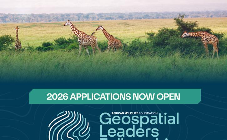 Kenya | African Wildlife Foundation