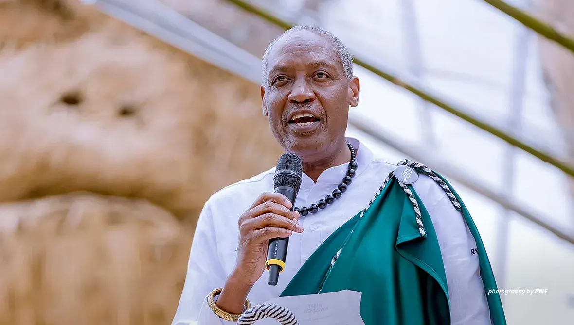 Kwita Izina 2022: AWF christens baby gorilla Indatezuka | African ...