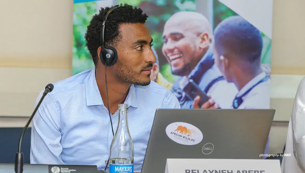 Meet Belayneh, an ecologist from Ethiopia engaging leaders at COP27 | African Wildlife Foundation
