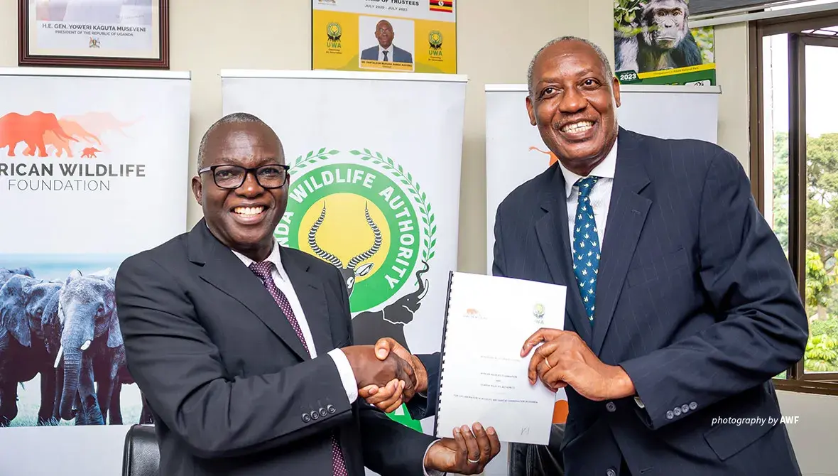 AWF Renews Commitment with UWA to Further Enhance Conservation ...